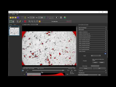 Z Stack Focus - Reactiv IP